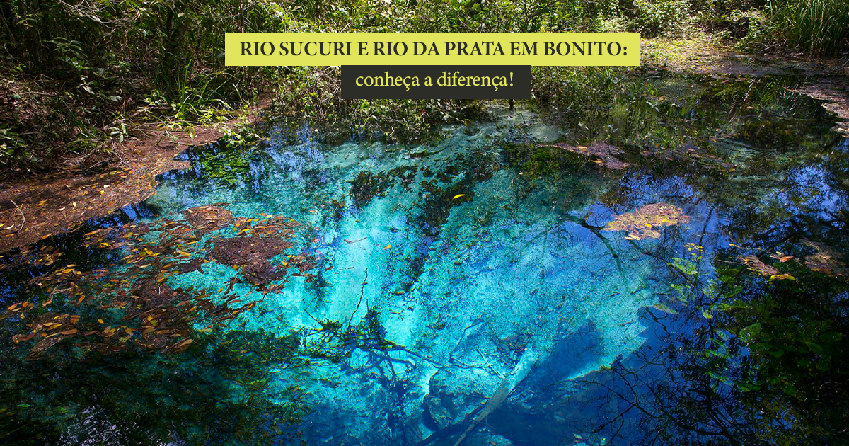 Rio Sucuri e Rio da Prata em Bonito: conheça a diferença!